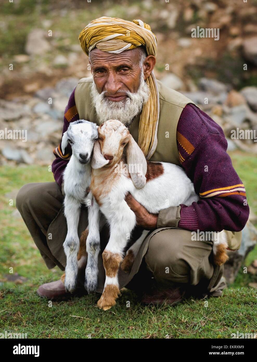 Senior Male With Young Goats Stock Photo - Alamy
