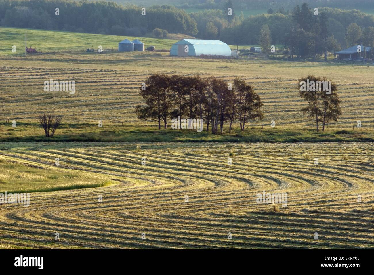 Cut field hi-res stock photography and images - Alamy
