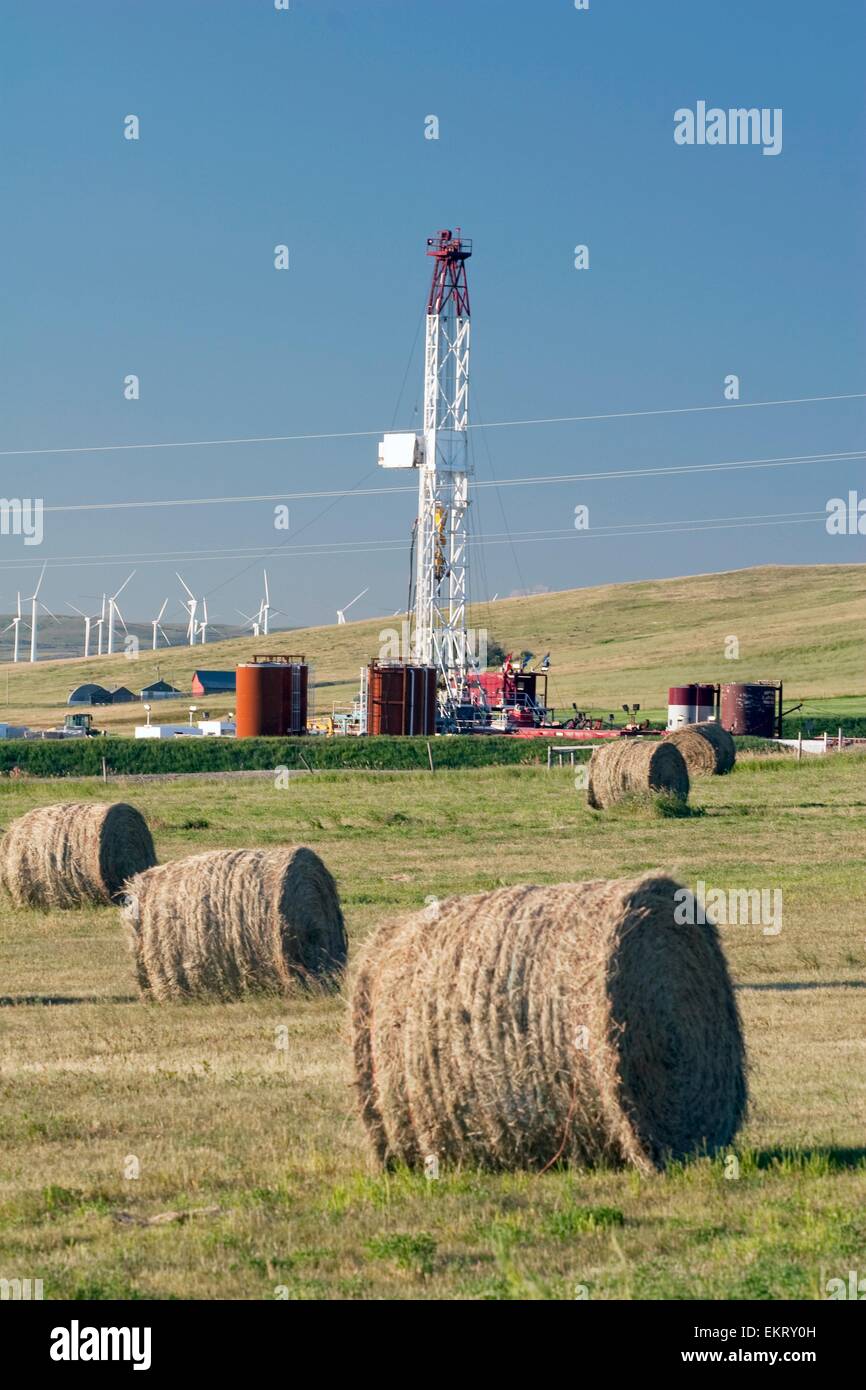 Hay Bales With Oil Rig And Windmills In Background, Alberta, Canada ...