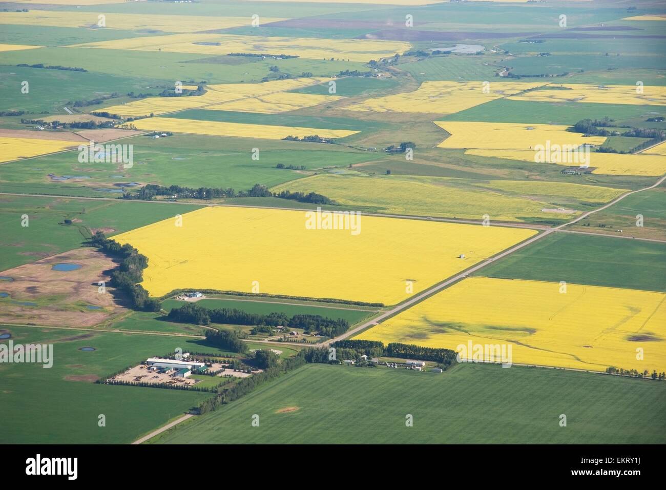 Canola Crops Aerial High Resolution Stock Photography and Images - Alamy