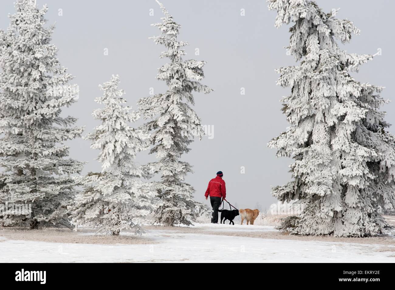 Calgary ca snow hi-res stock photography and images - Alamy