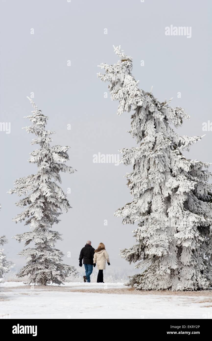 Couple Walking Between Two Snow Covered Trees Stock Photo - Alamy