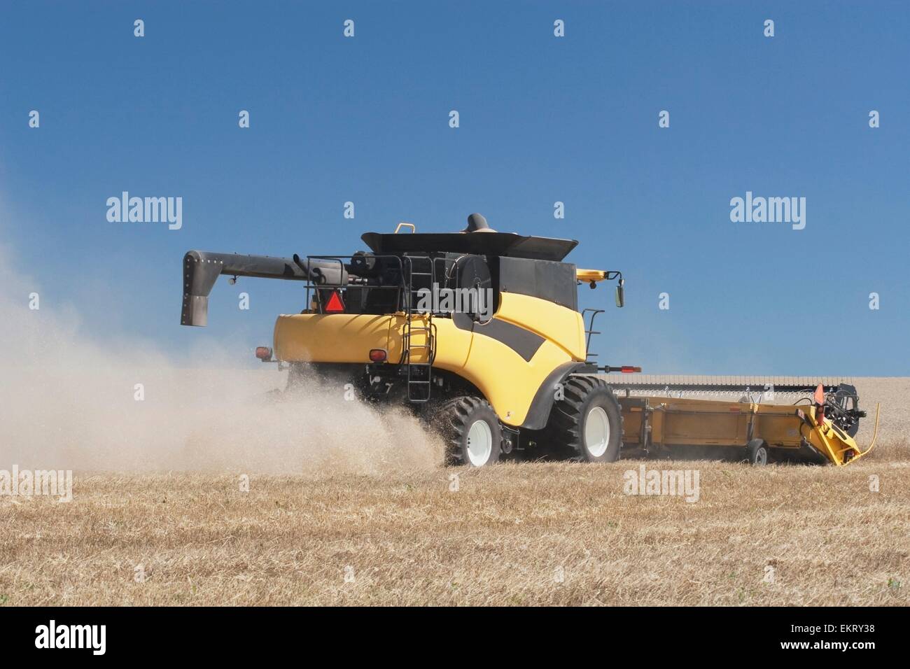 Alberta, Canada; A Combine Cutting A Ripe Wheat Field Stock Photo - Alamy