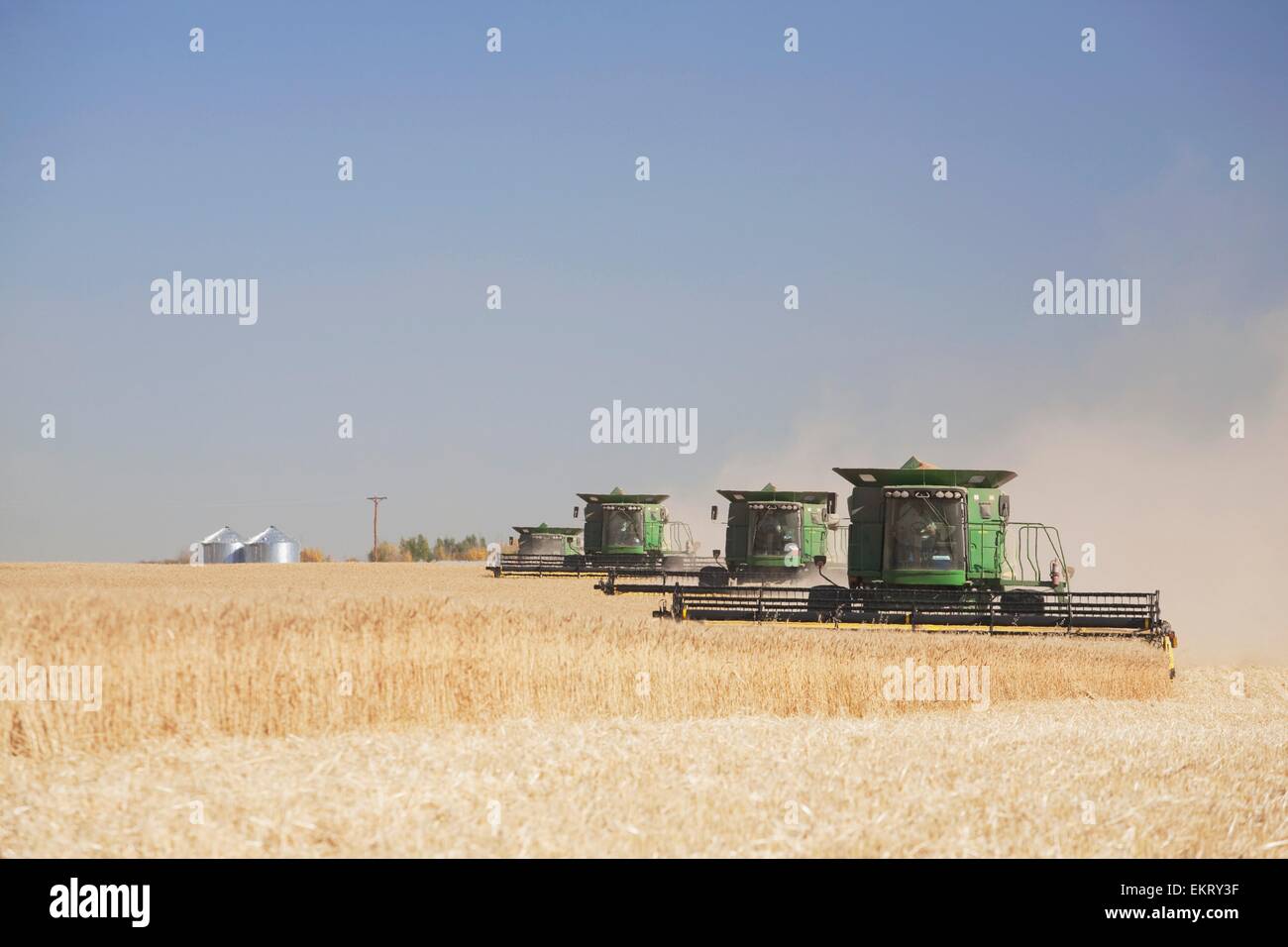 Text combines hi-res stock photography and images - Alamy