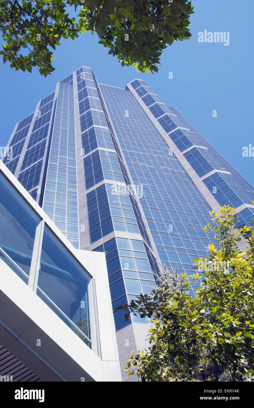 Calgary, Alberta, Canada; High Rise Office Building And Trees Stock ...