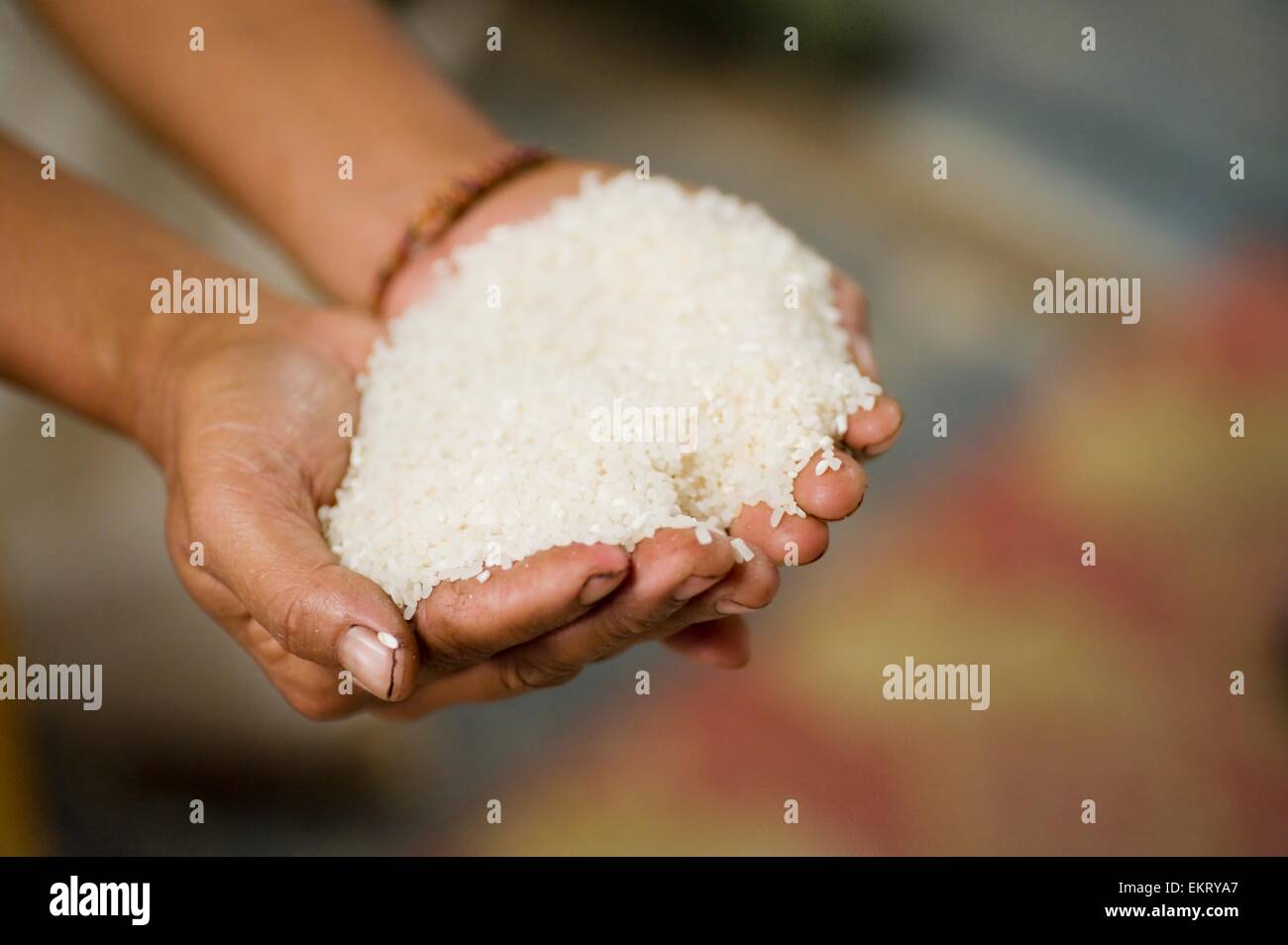 Hands Full Of Rice; Thailand Stock Photo - Alamy
