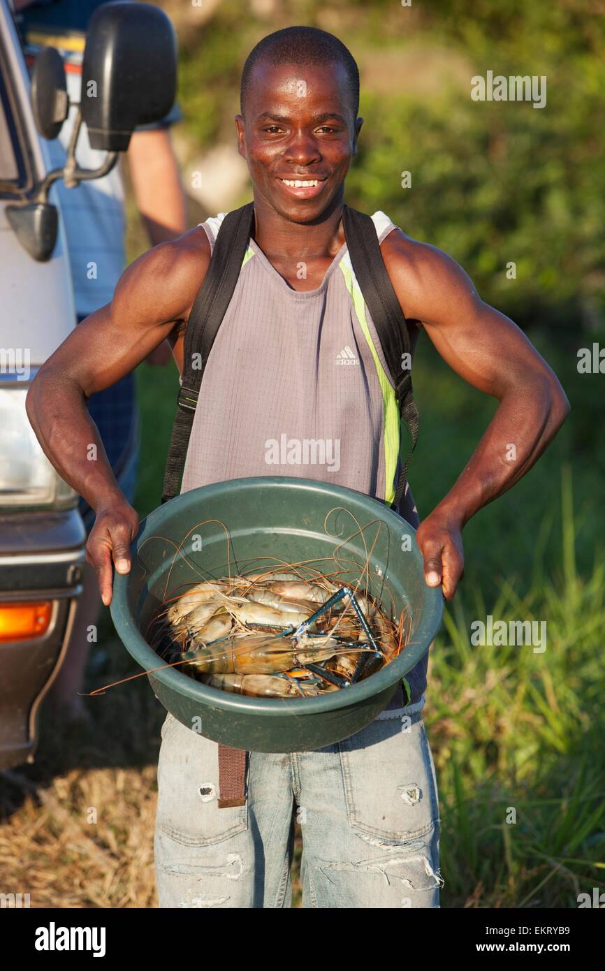 A male freshwater crayfish hi-res stock photography and images - Alamy