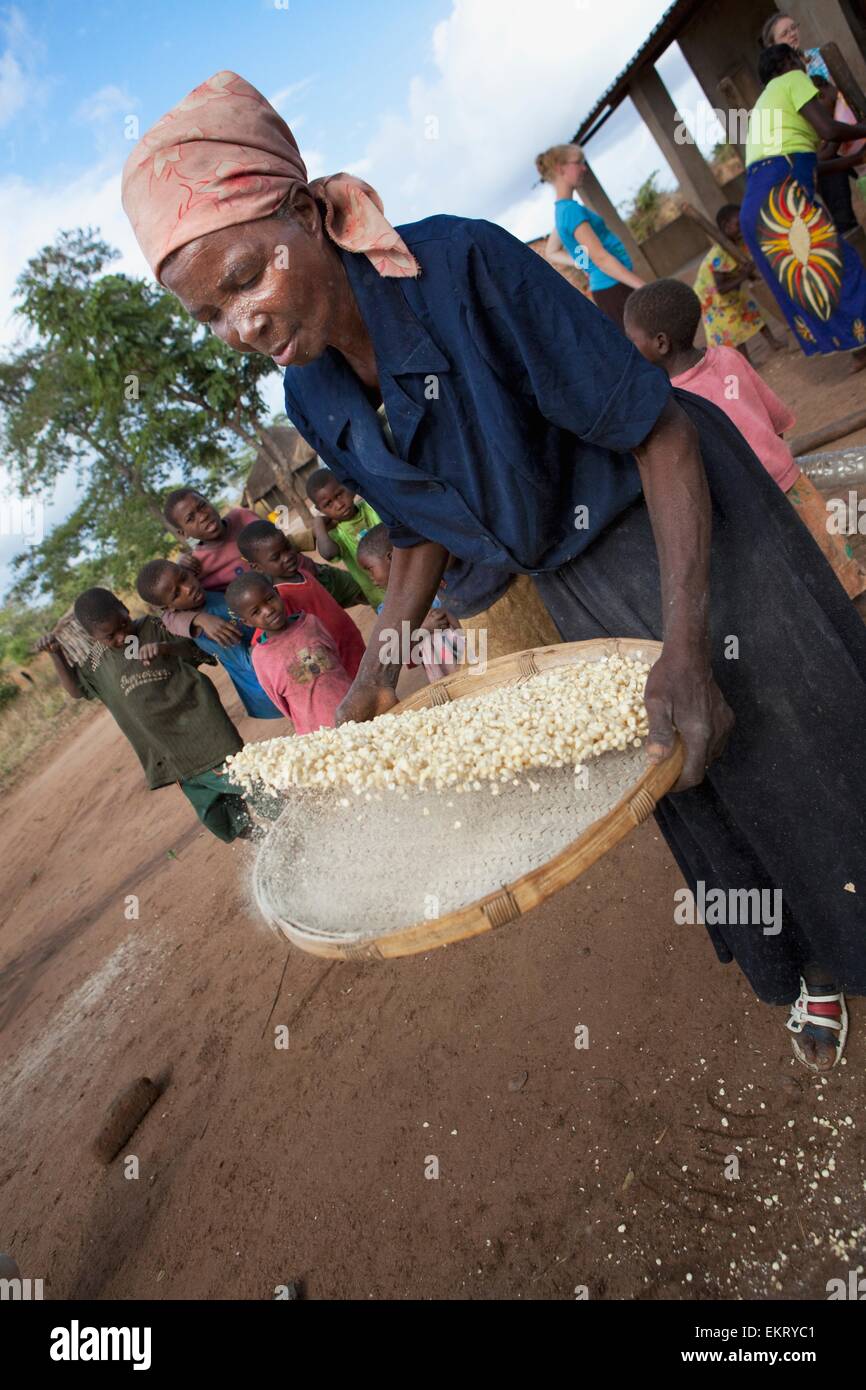 A Woman Separating Chaff From Corn Kernels By Hand; Manica, Mozambique ...