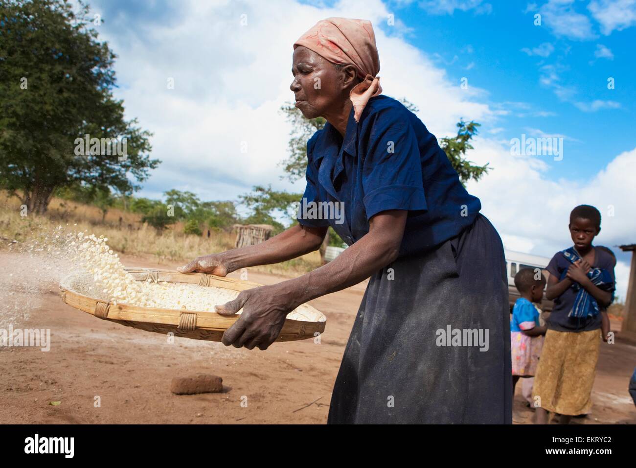 A Woman Separating Chaff From Corn Kernels By Hand; Manica, Mozambique ...