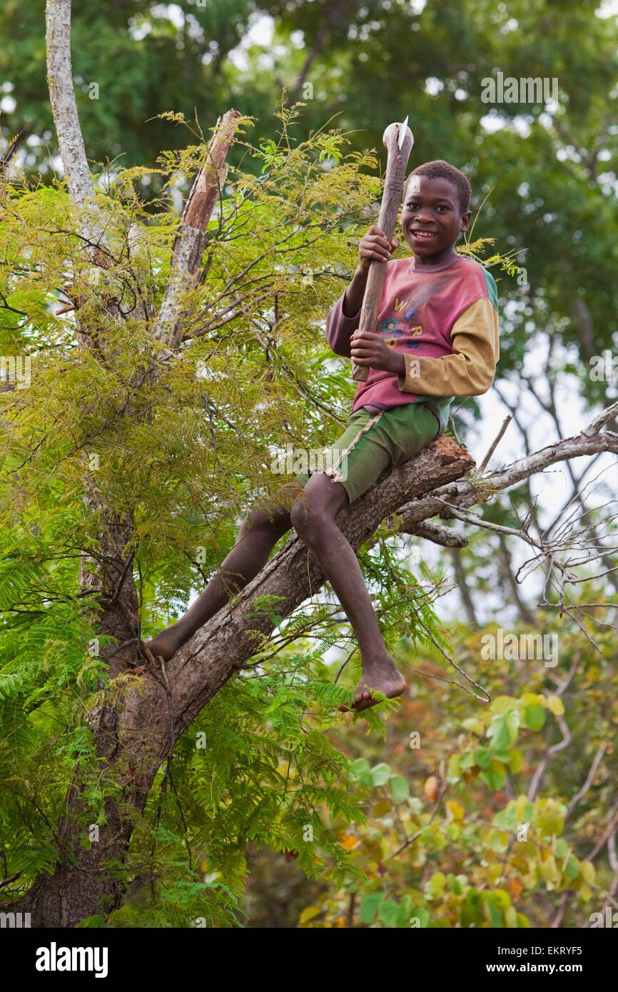 African boy climbing tree hi-res stock photography and images - Alamy