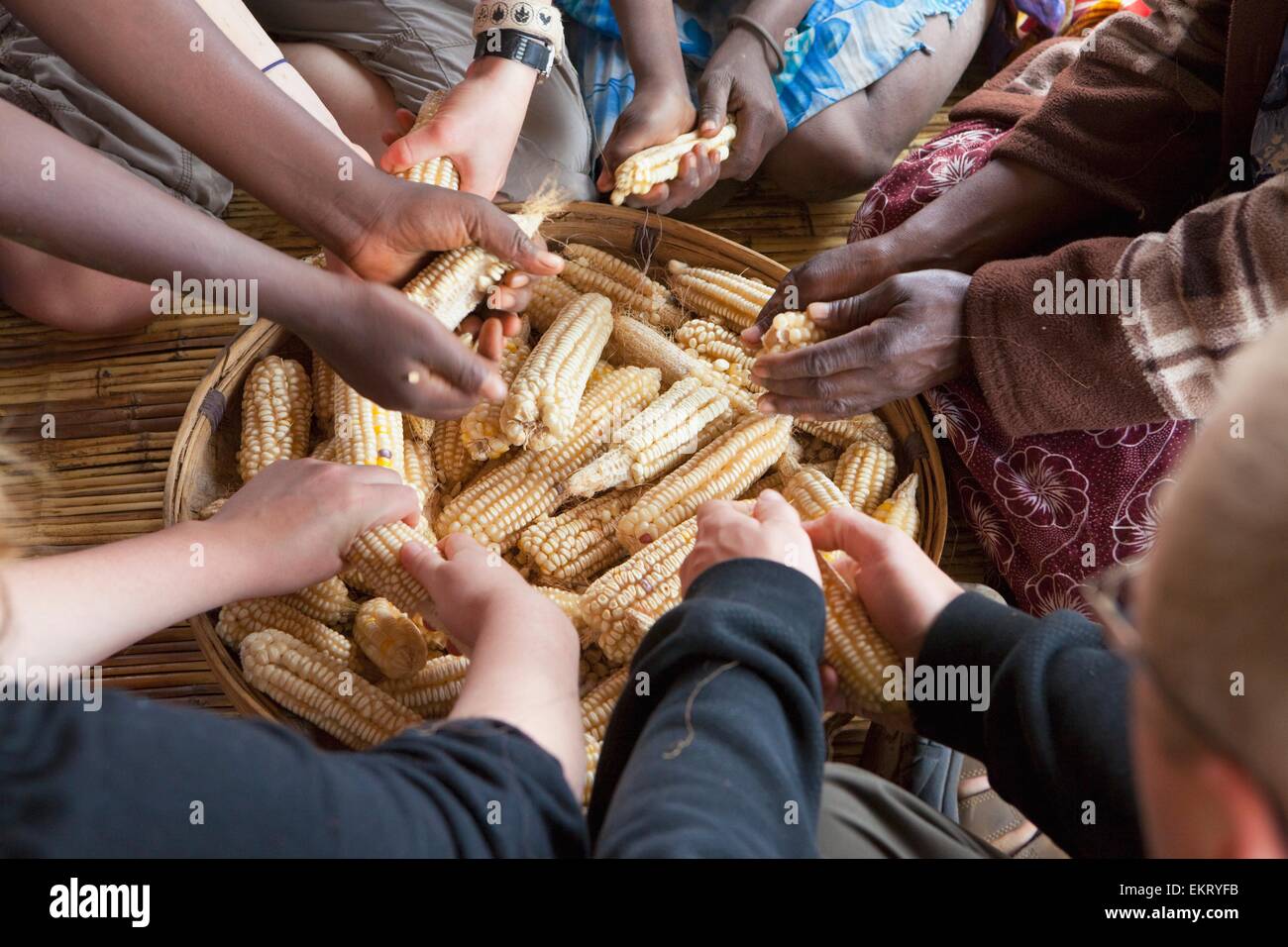 Hands Threshing Corn; Manica, Mozambique, Africa Stock Photo - Alamy