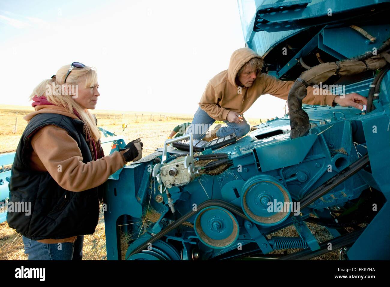 Farmers Cleaning A Combine Tractor; Three Hills, Alberta, Canada Stock ...