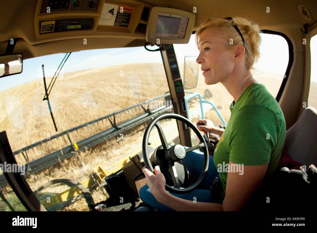 Female Farmer In Cab Of Combine; Three Hills, Alberta, Canada Stock ...