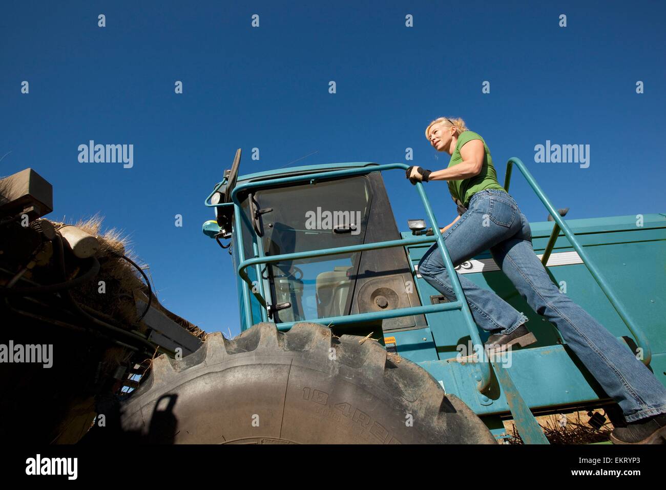 Female Farmer Climbing On Combine Tractor; Three Hills, Alberta, Canada ...