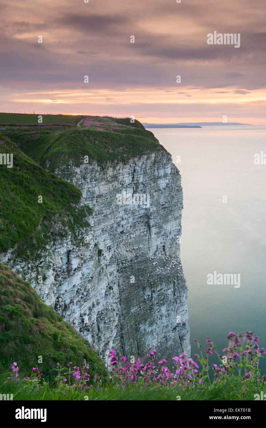 Sunset & colourful sky over high chalk cliff & calm blue sea ...