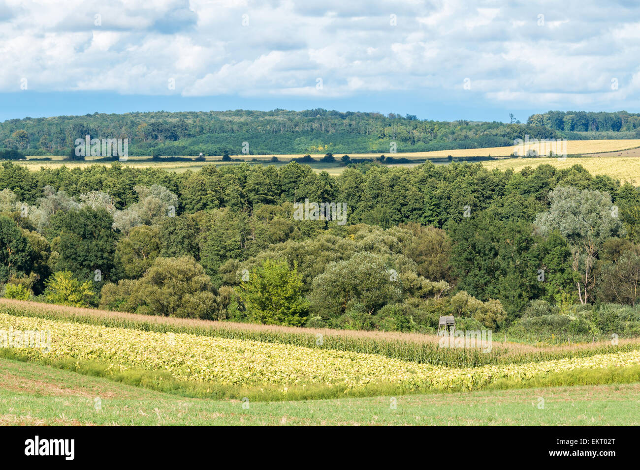Far rural agriculture hi-res stock photography and images - Alamy