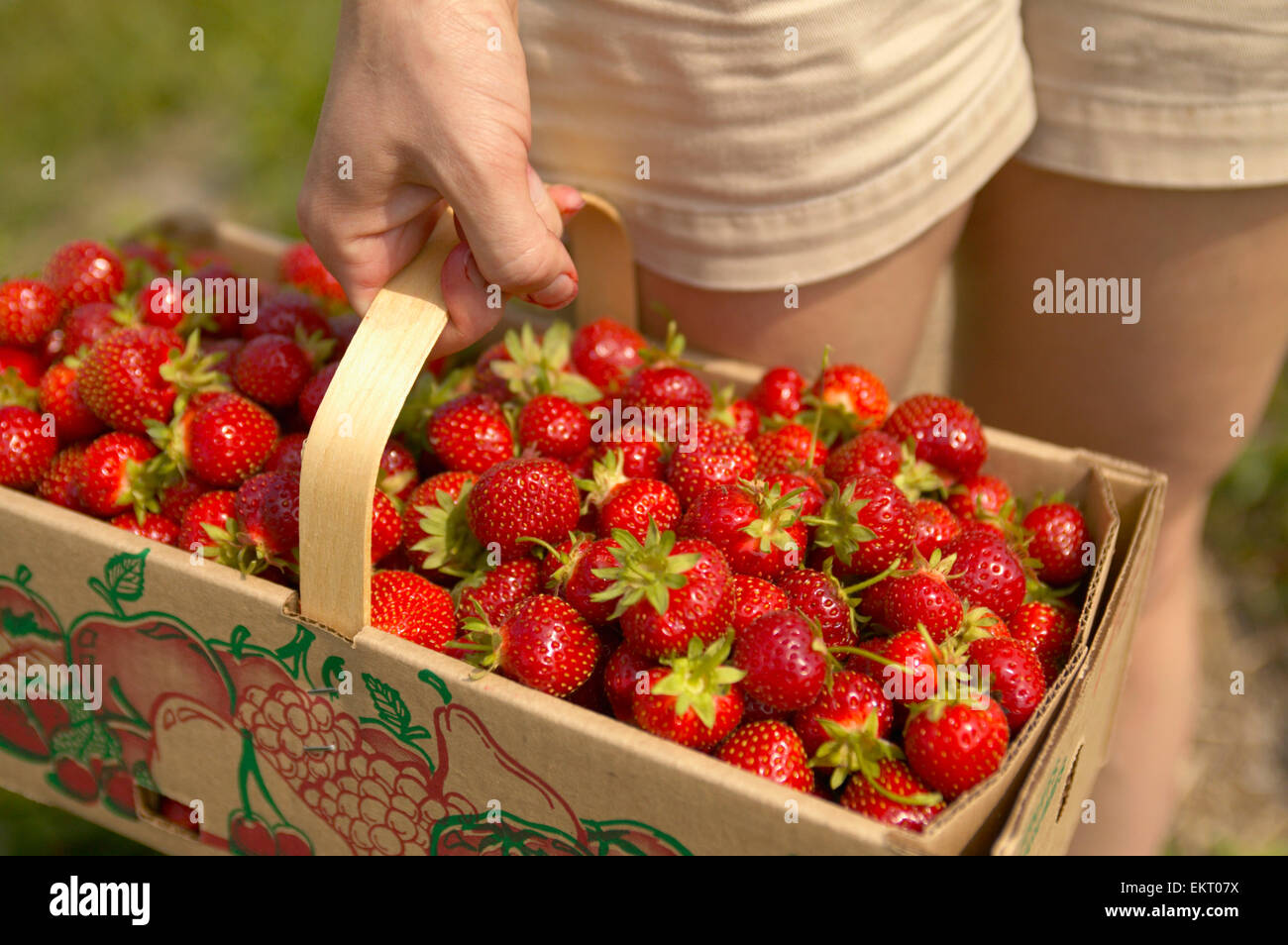 Picking sequence hi-res stock photography and images - Alamy