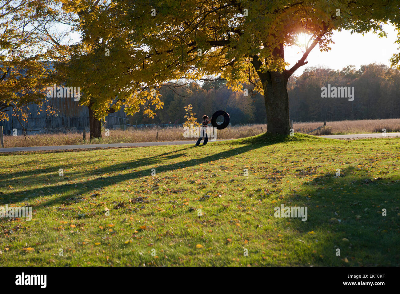 Boy Pushing A Tire Swing In The Fall Stock Photo - Alamy