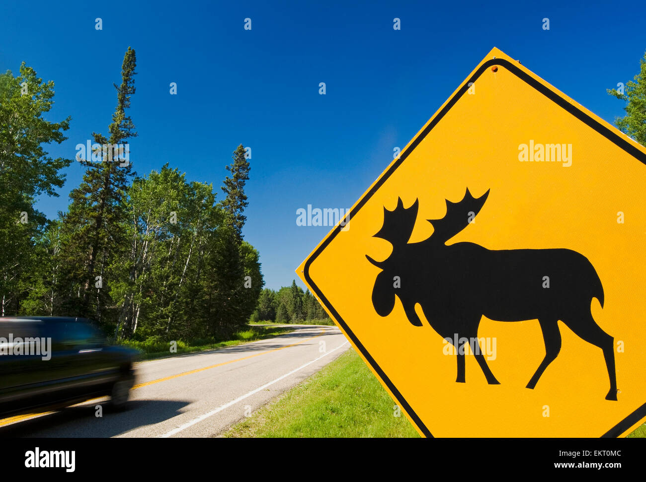 Moose Road Sign And Passing Truck, Riding Mountain National Park ...
