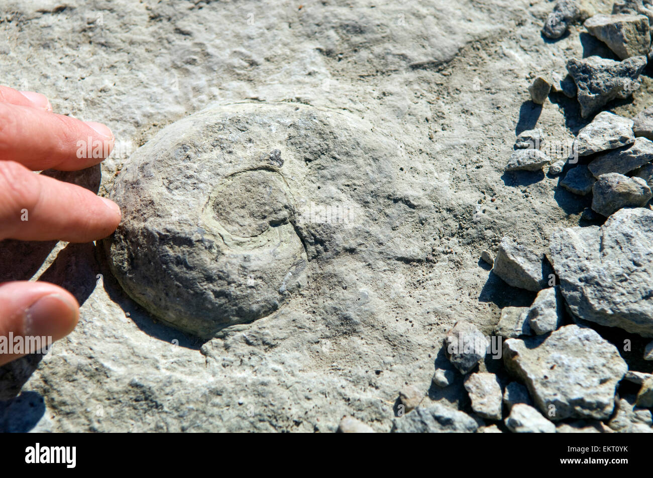 Archaeological archaeology archeology destination outdoor outdoors ...