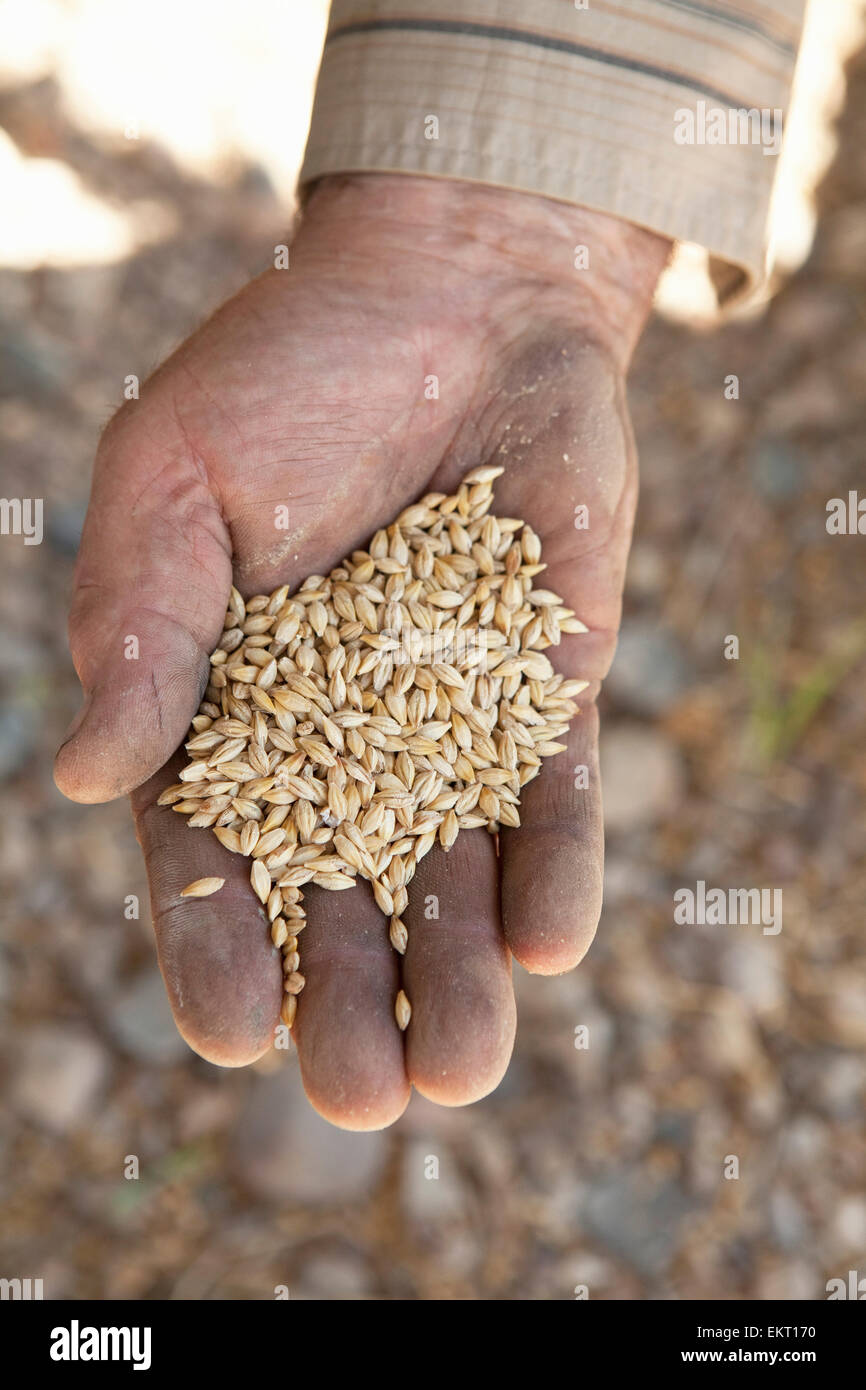 Munson hi-res stock photography and images - Alamy