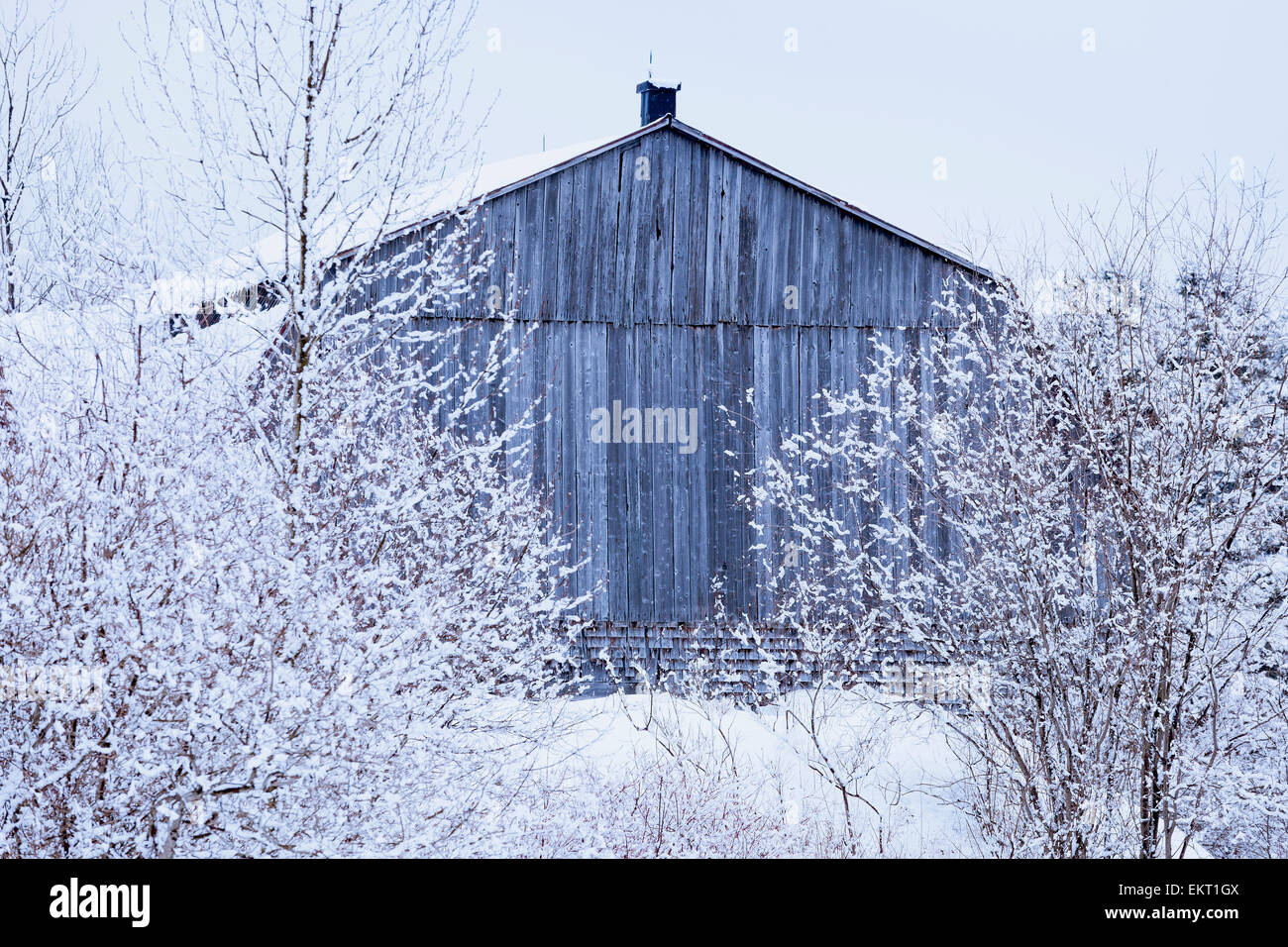 Barns quebec farms agriculture hi-res stock photography and images - Alamy
