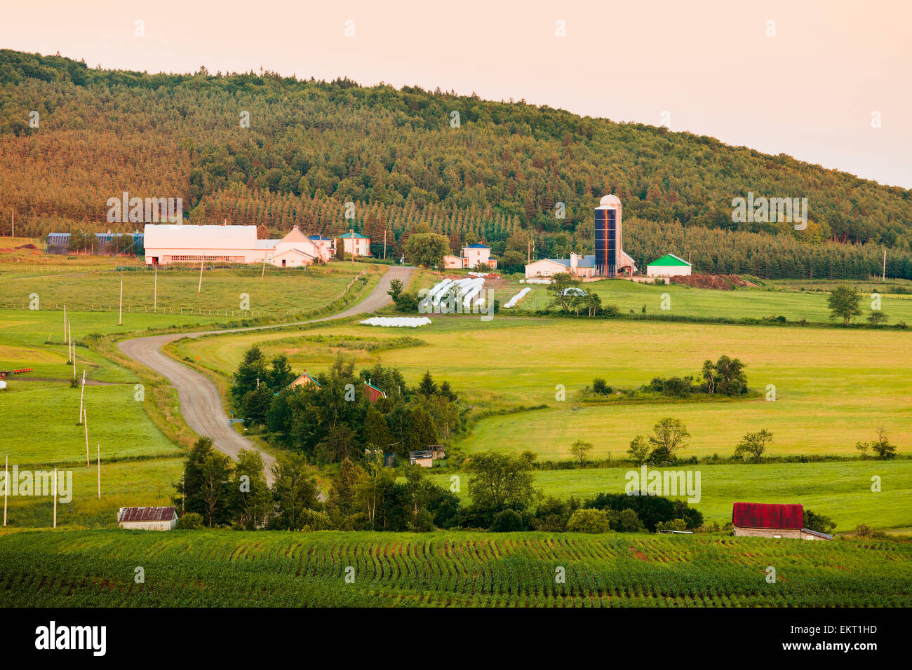 Barns quebec farms agriculture hi-res stock photography and images - Alamy