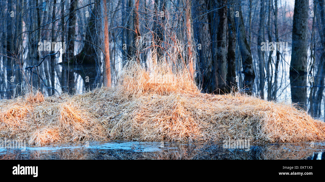 Lavalliere bay hi-res stock photography and images - Alamy