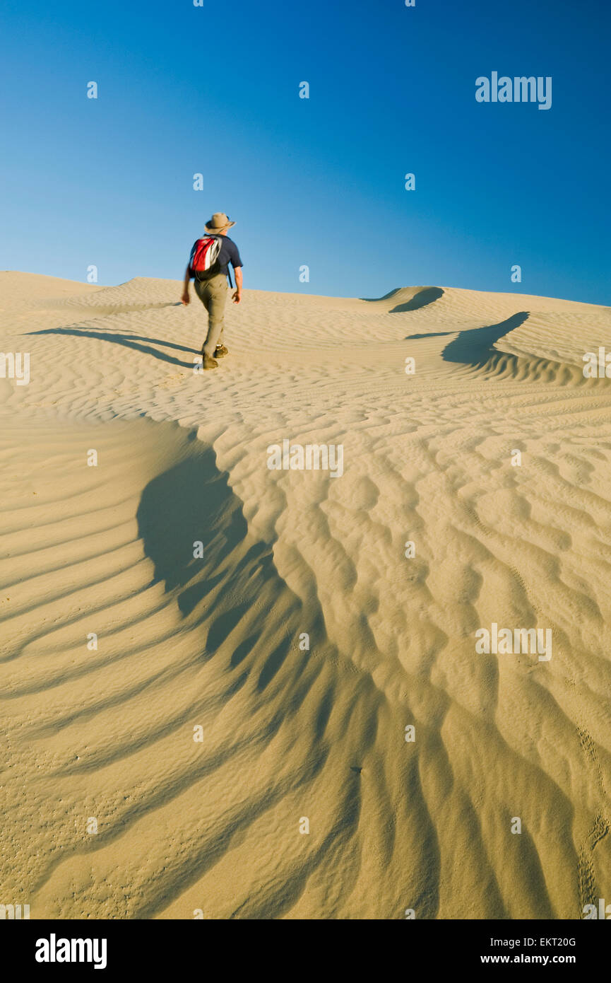 Saskatchewan sand dunes hi-res stock photography and images - Alamy
