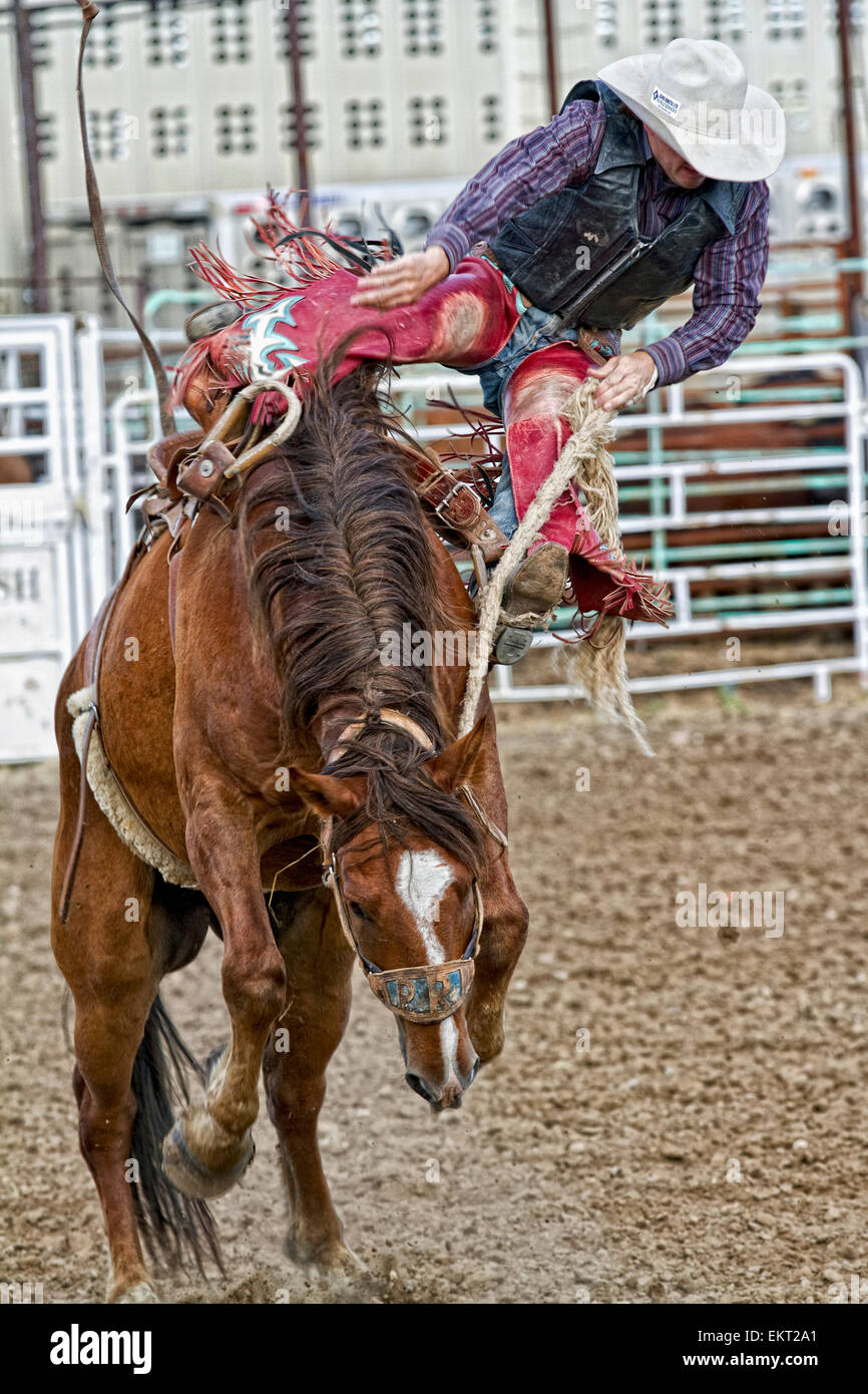 Saskatchewan day of action hi-res stock photography and images - Alamy
