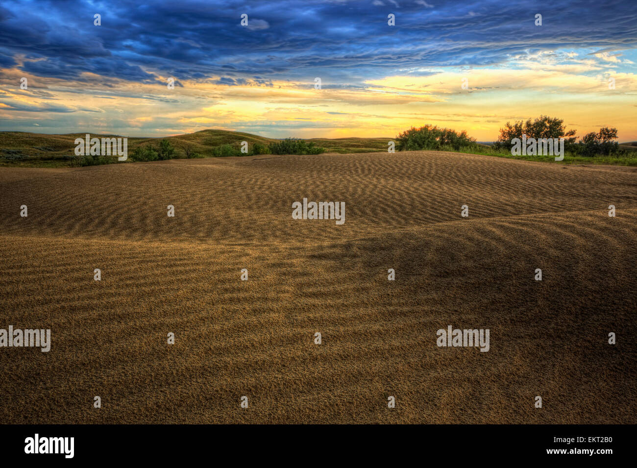 HDR image of the Great Sandhills at sunset; Saskatchewan, Canada Stock ...