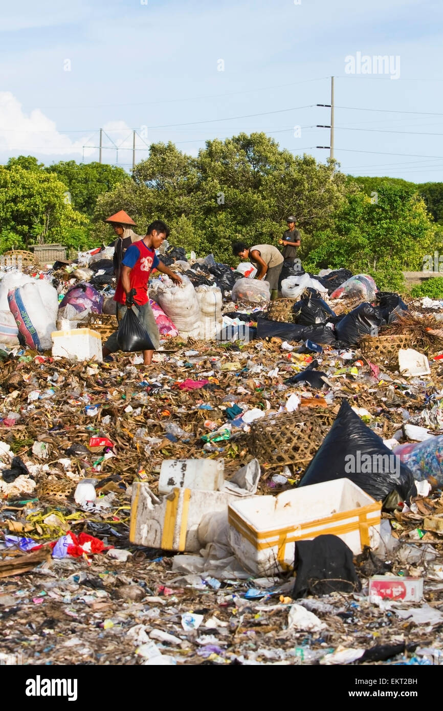 Scavenging In Unsanitary, Illegal Garbage Dump, Bali, Indonesia Stock ...