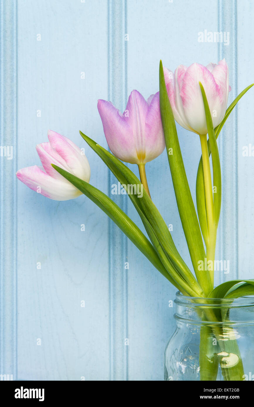 Beautiful Spring flower still life with wooden background Stock Photo ...
