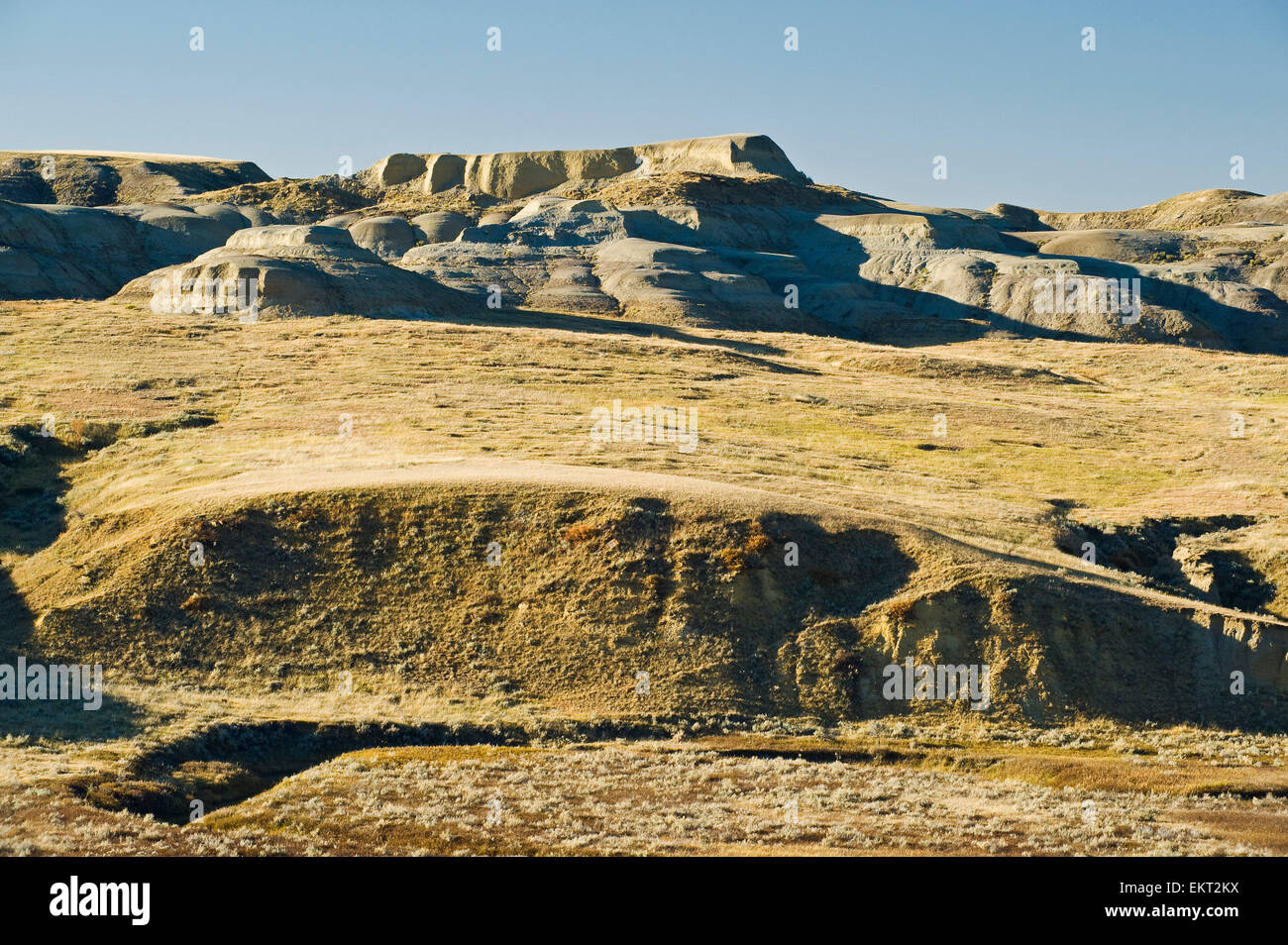 Killdeer Badlands of East Block in Grasslands National Park ...