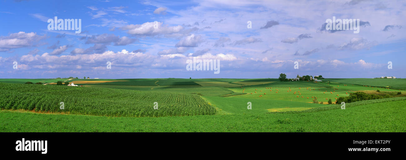 Iowa farms hay hi-res stock photography and images - Alamy