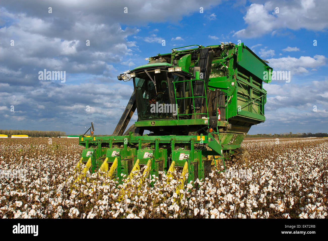 1979 John Deere Four Row Cotton Picker 184 Years In: Ag Giant John