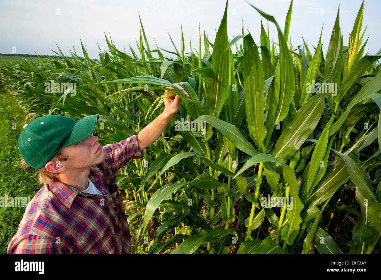 Farmer young usa hi-res stock photography and images - Alamy
