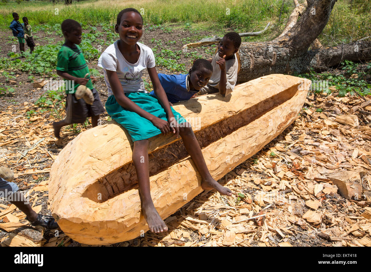 A traditional dug out canoe being constructed in Malawi, Africa Stock ...