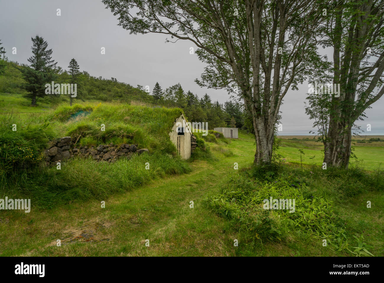 Old turf farmhouses, Kvisker farm, Iceland Stock Photo - Alamy