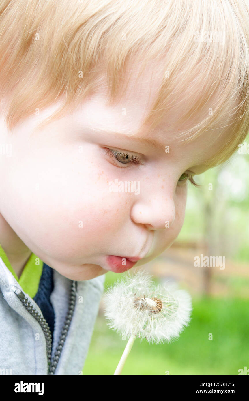 child blowing on dandelion Stock Photo - Alamy