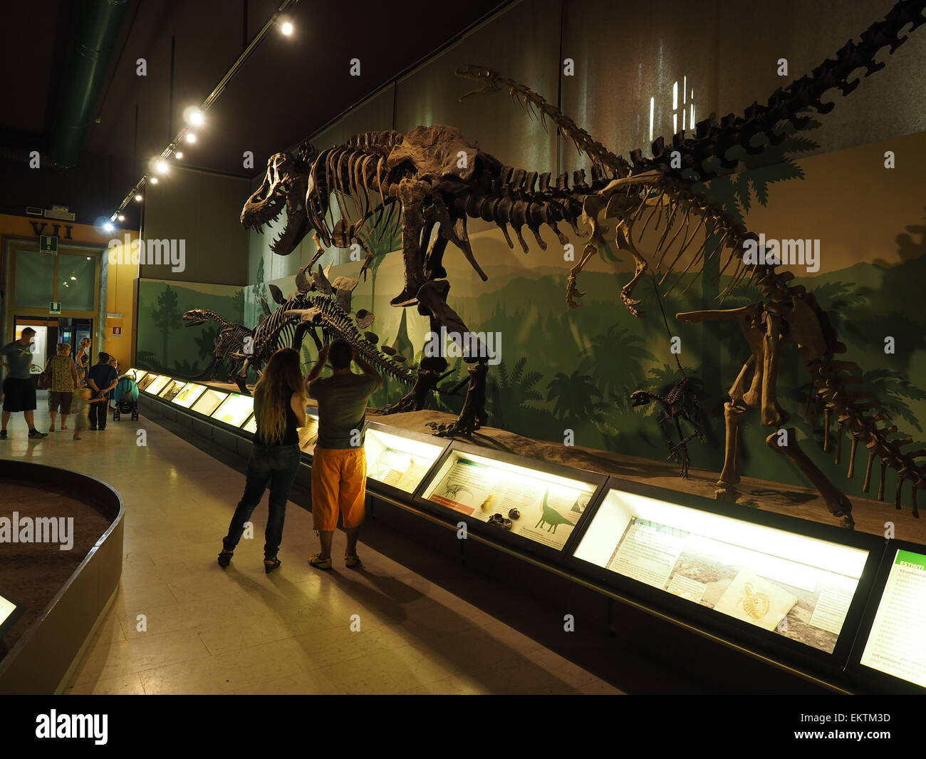 Natural History Museam In Milan Italy Milan Natural History Museum