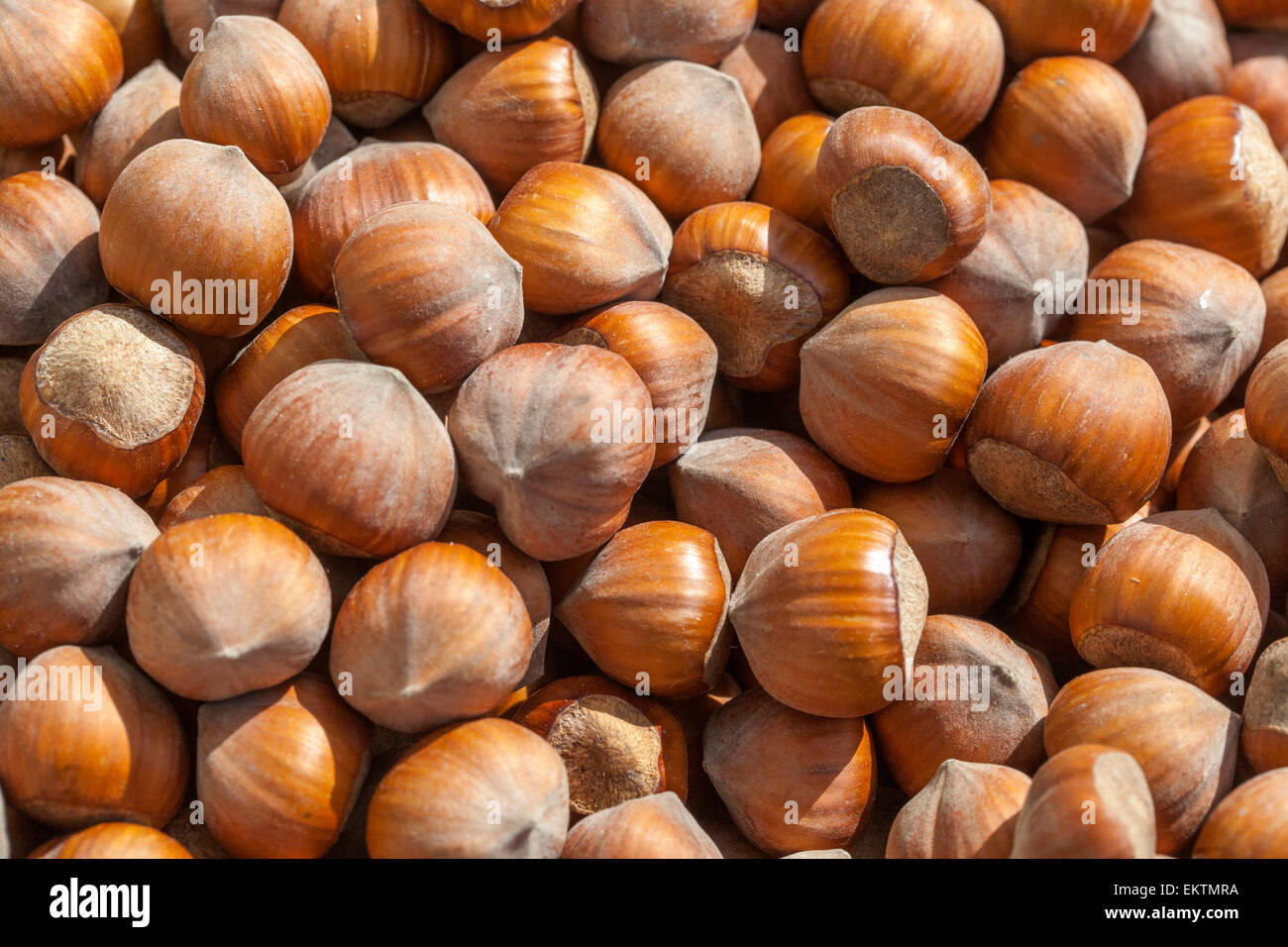 Heap of hazelnuts Stock Photo - Alamy