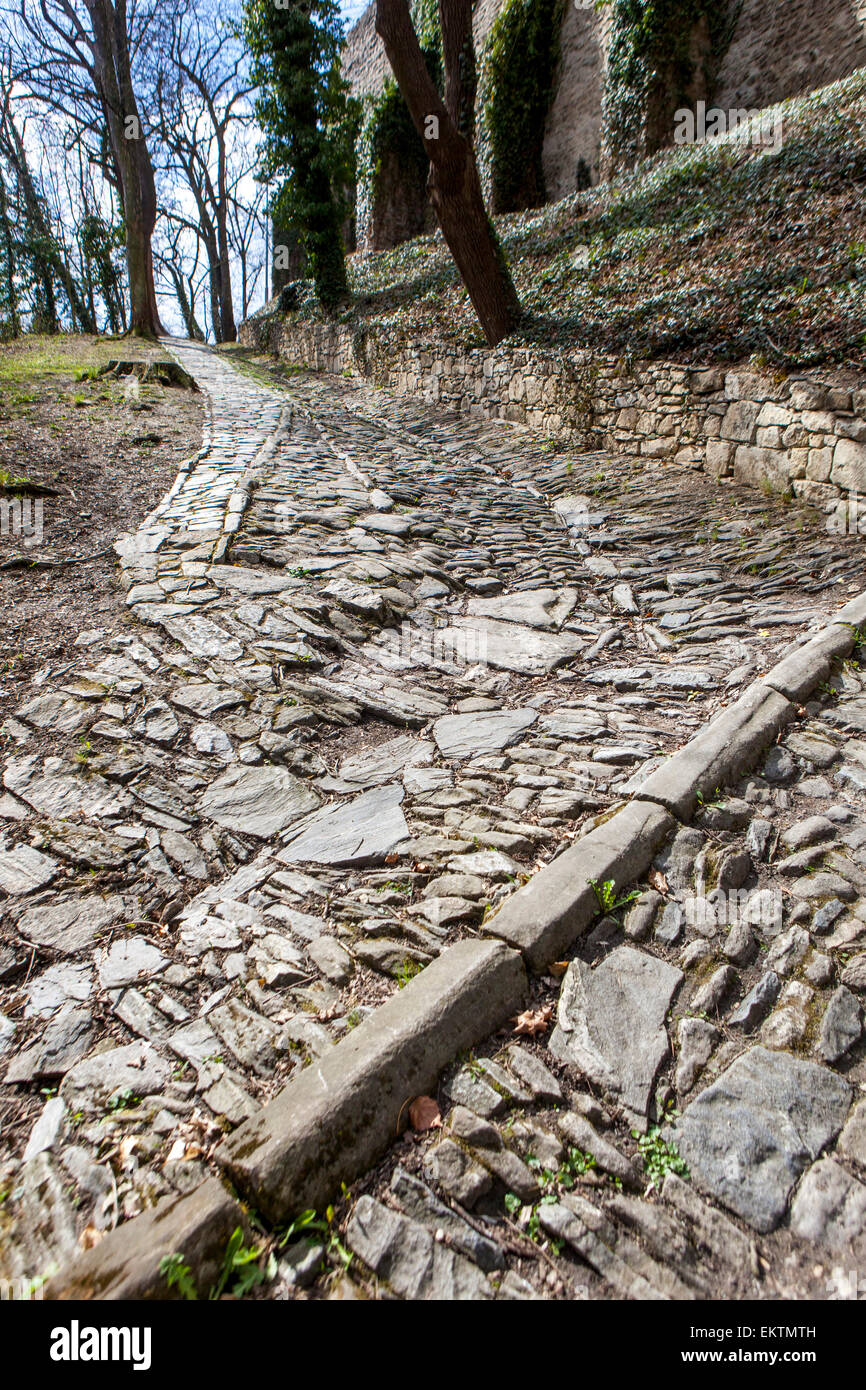 Cobblestone path hi-res stock photography and images - Alamy