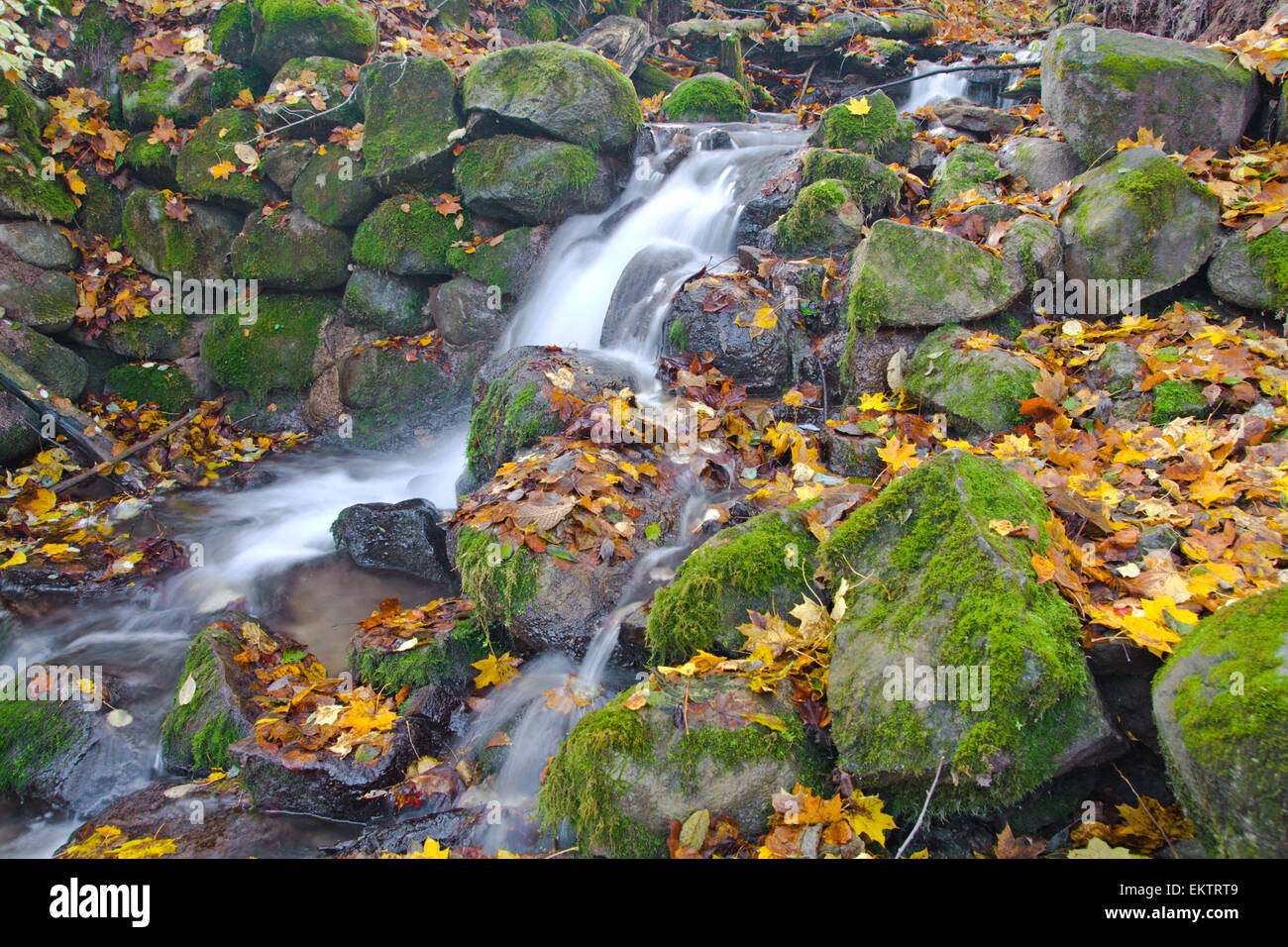 beautiful cascade waterfall in autumn forest Stock Photo - Alamy