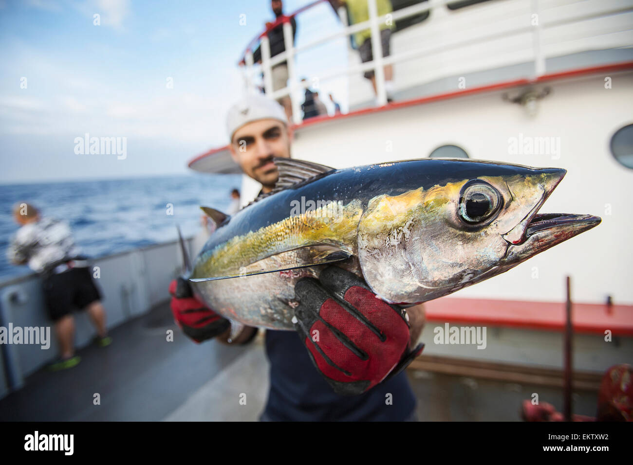 Man holding yellowfin tuna;Corpus christi texas usa Stock Photo - Alamy