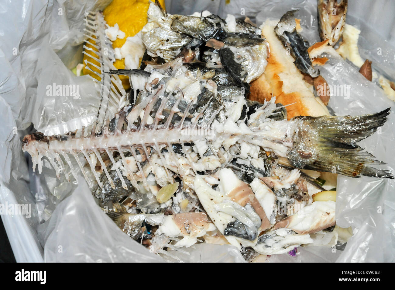 consumed fish bone and leftovers after a fish meal Stock Photo - Alamy