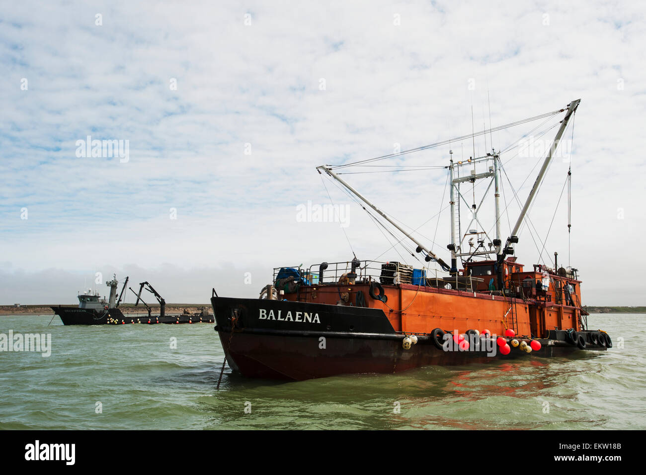 Tender Balaena awaits fishing boats in Bristol Bay, Alaska Stock Photo ...
