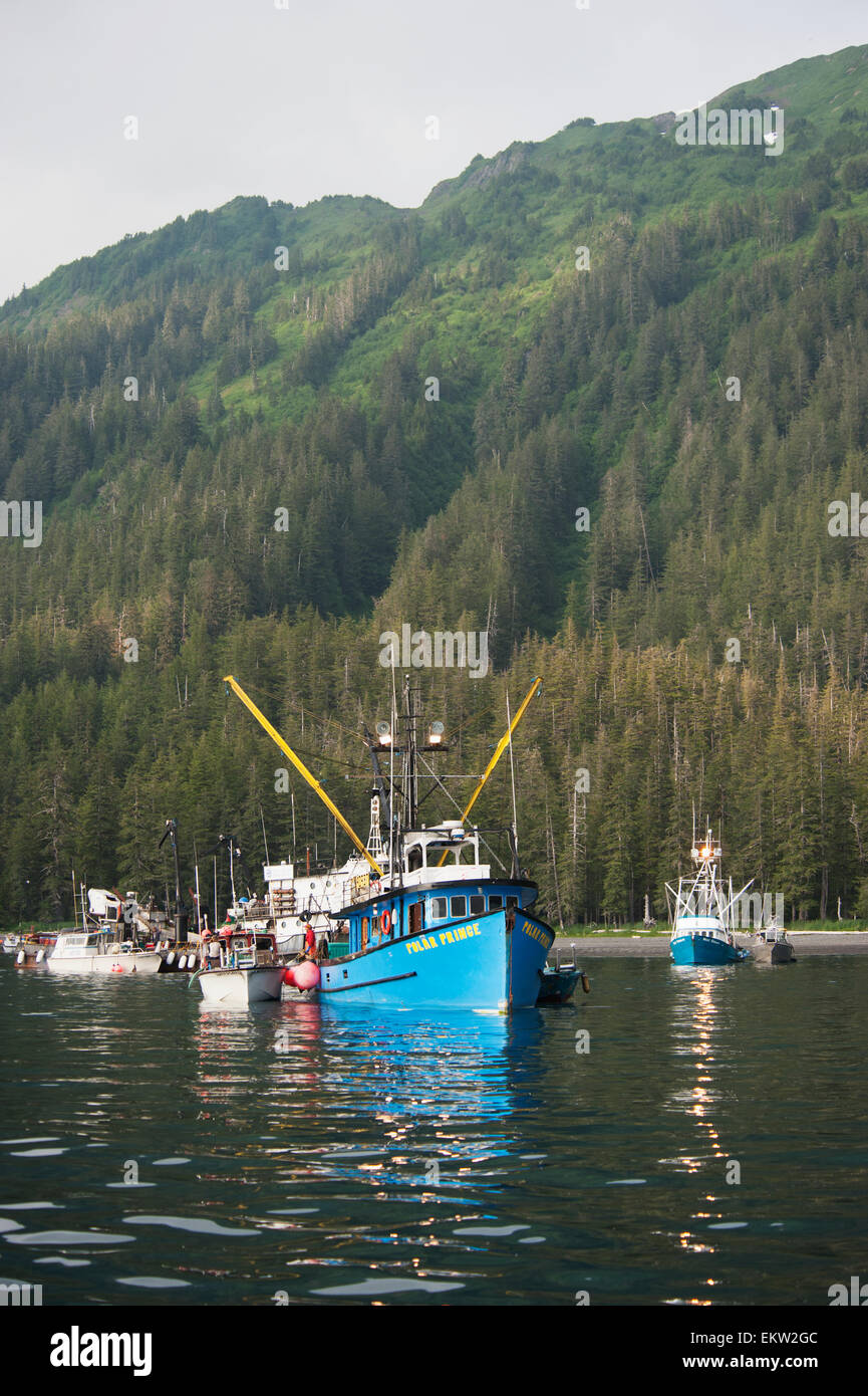Fishing boats alongside tenders in Prince William Sound, Alaska Stock ...