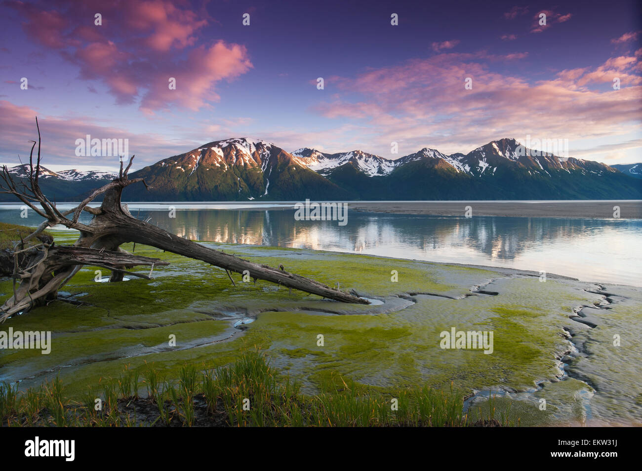 Mud flats in turnagain arm hi-res stock photography and images - Alamy