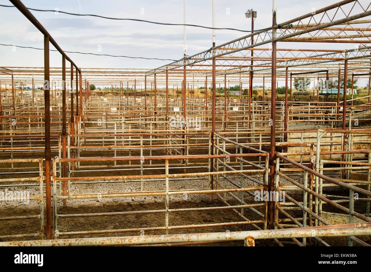 Rustic cattle pens hi-res stock photography and images - Alamy